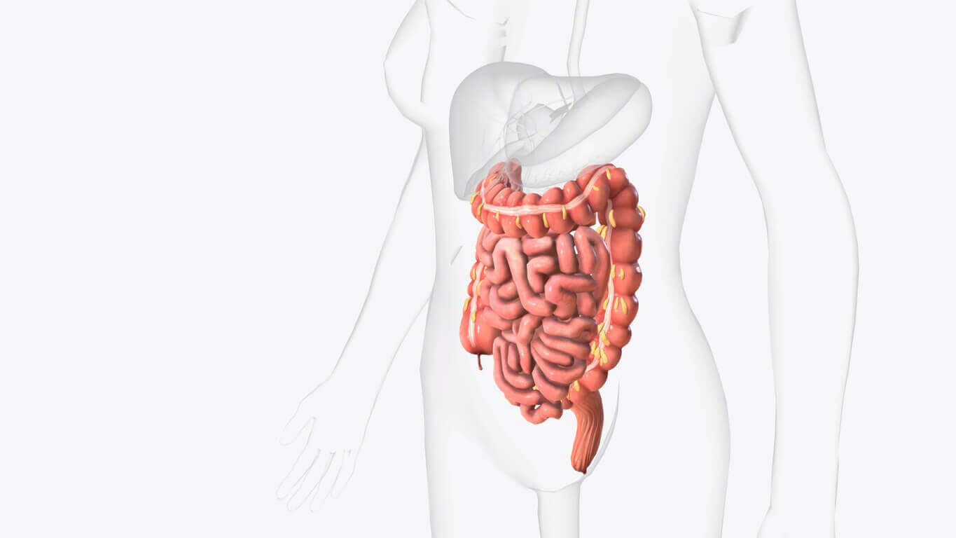 The Best GI Doctor Near You: Your Guide to Selection - Hudson MD Group